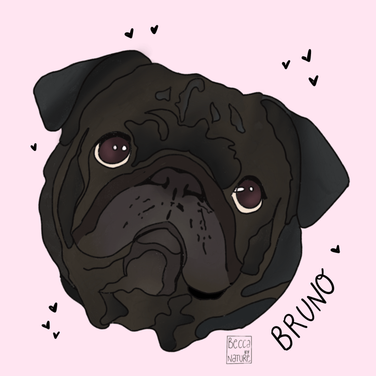 Meet Bruno – beccabynature